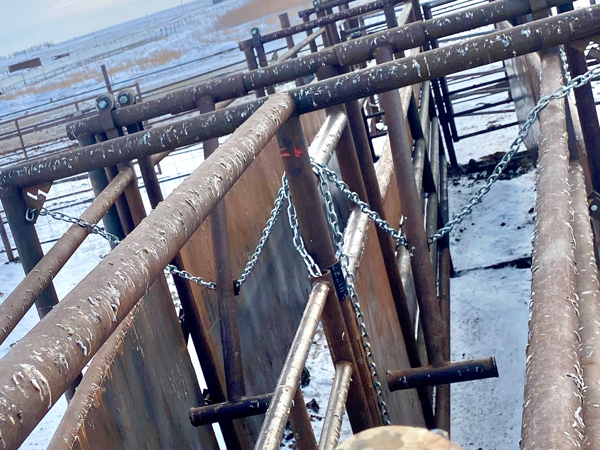 Alley Stop aka Butt Stop | Ulrich Manufacturing