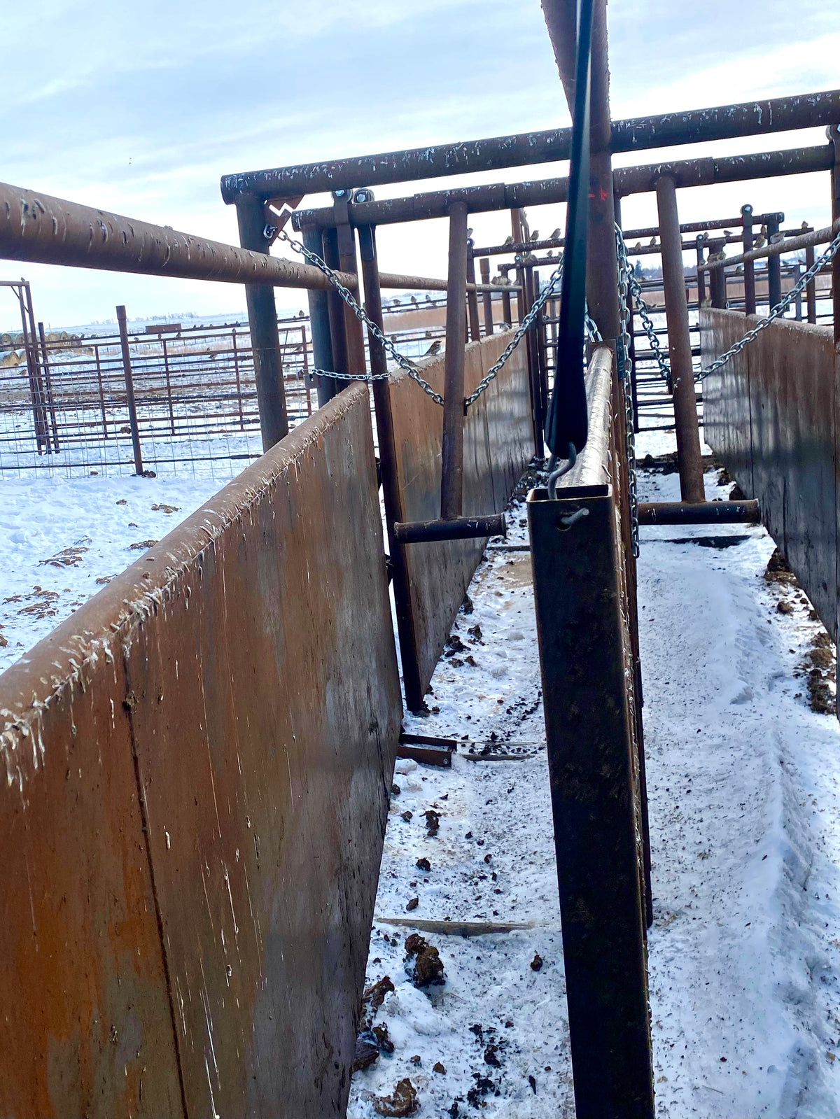 Alley Stop aka Butt Stop | Ulrich Manufacturing